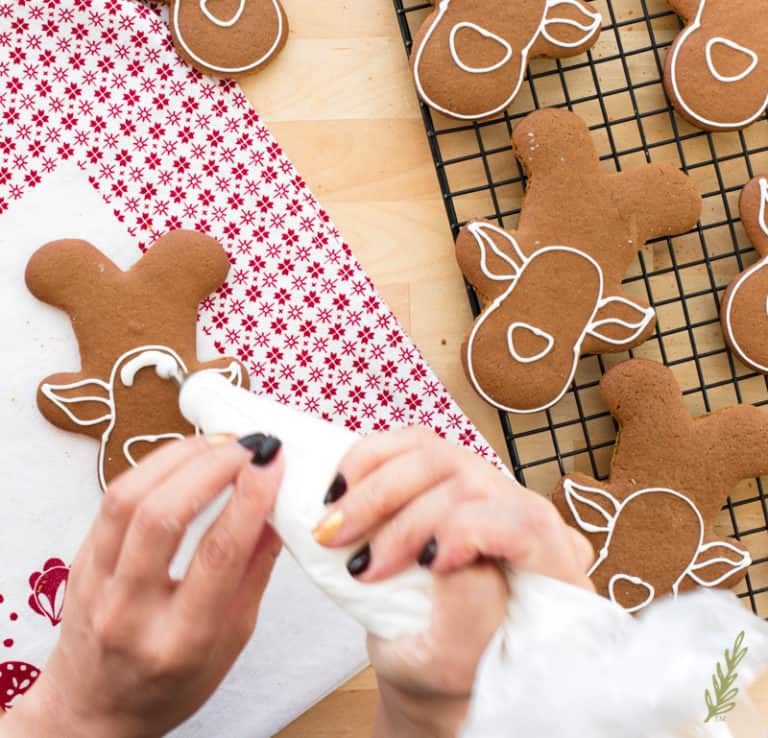 Gingerbread Reindeer Cookies with Royal Icing - Sense & Edibility