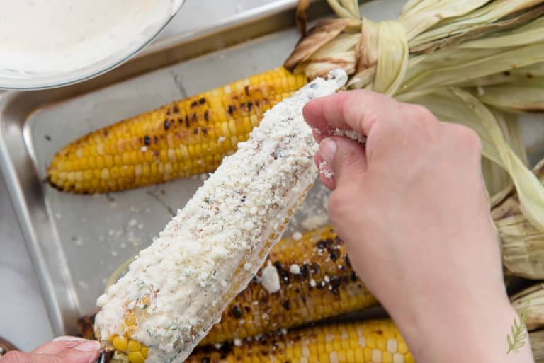 Elotes (Grilled Mexican Corn on the Cob) Street-Vendor Style