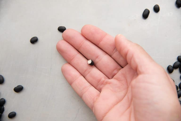 Habichuelas Guisadas (Puerto Rican Stewed Beans) - Sense & Edibility