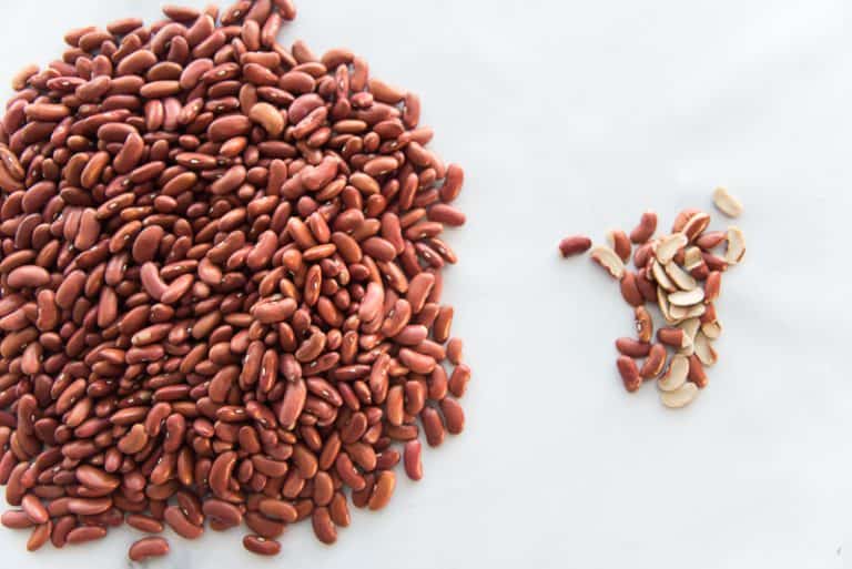 Creole Red Beans and Rice - Sense & Edibility