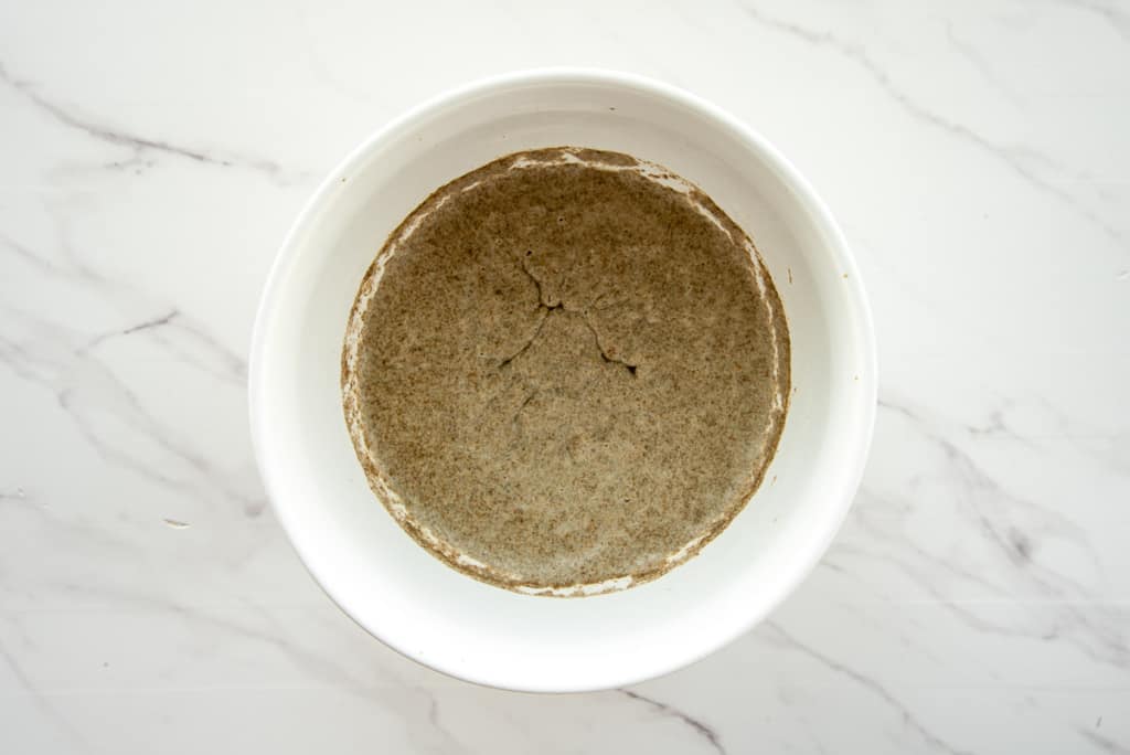 Rye Sourdough Starter - Sense & Edibility