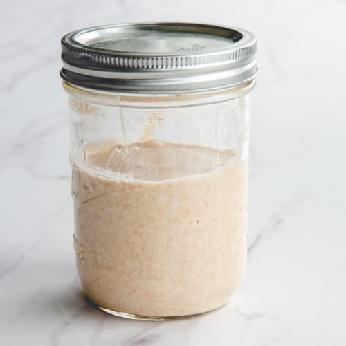 Rye Starter - Sense & Edibility
